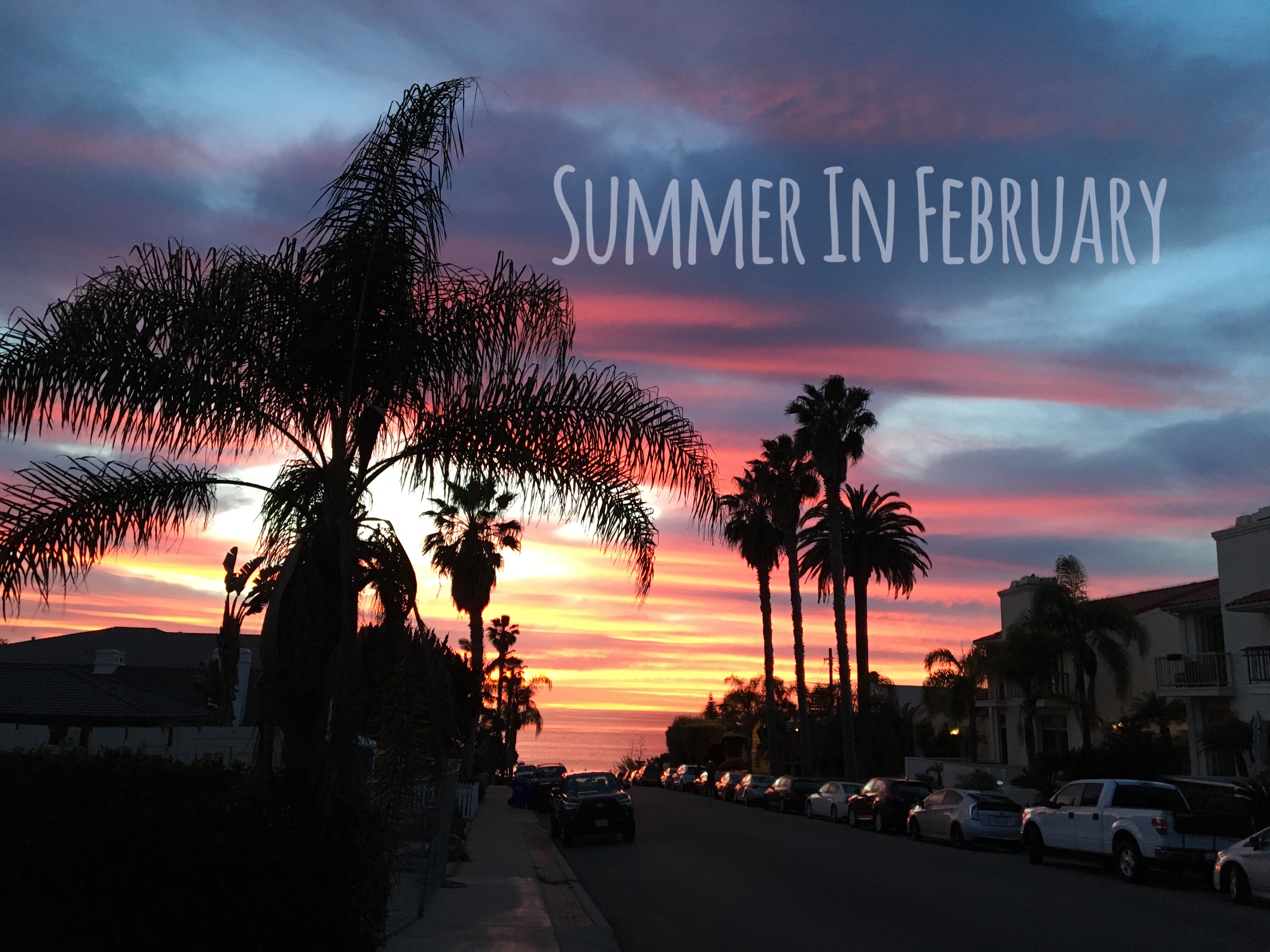 Summer in February – Young Lion